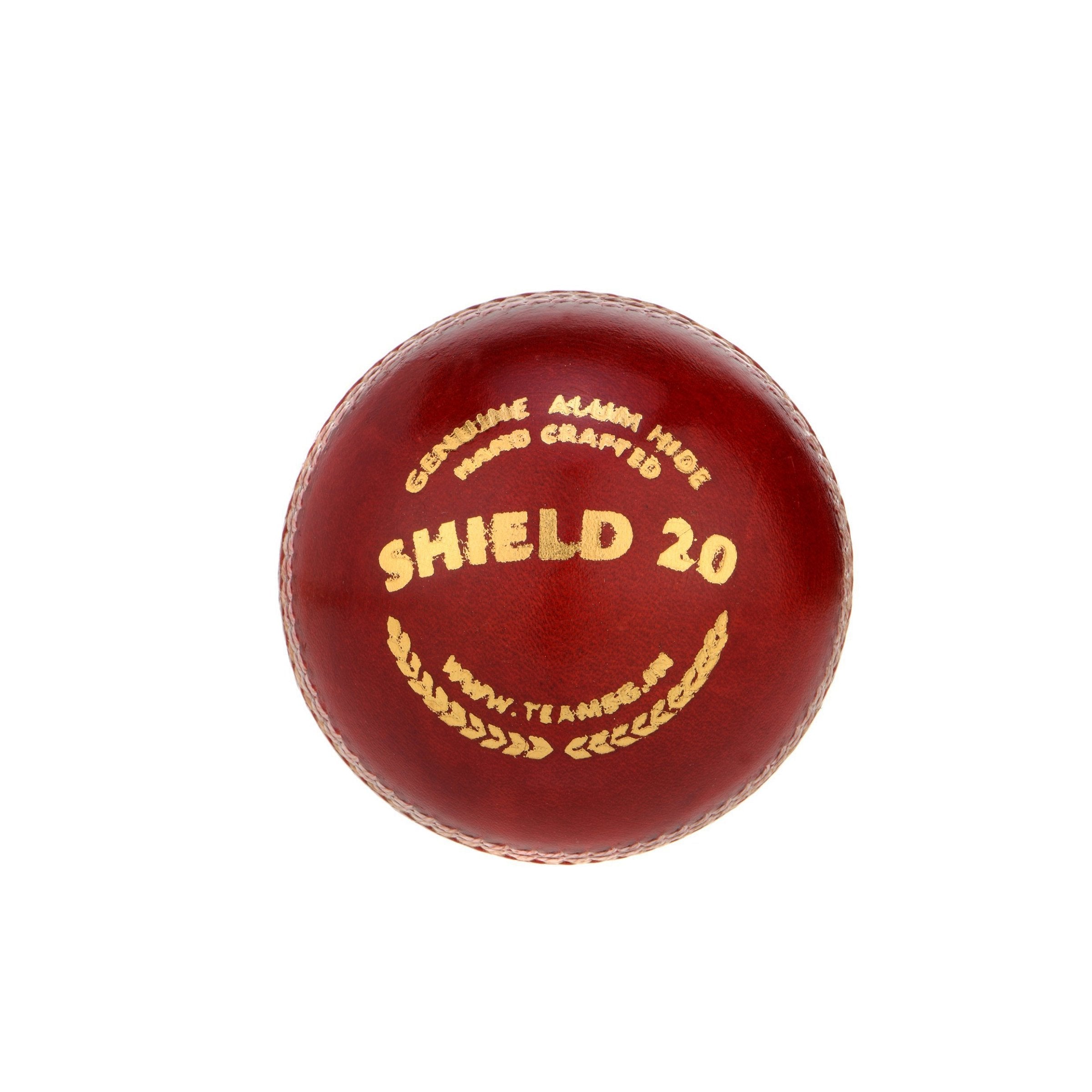 SG Shield 20 Red Cricket Leather Ball – TeamSG