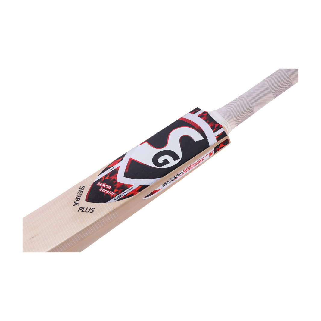 KASHMIR WILLOW BAT – TeamSG