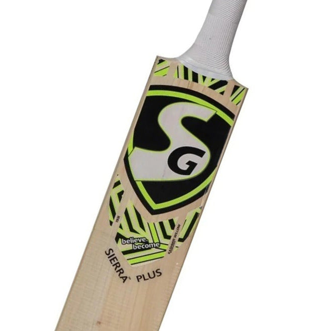 SG Sierra Plus Kashmir Willow Cricket Bat – TeamSG
