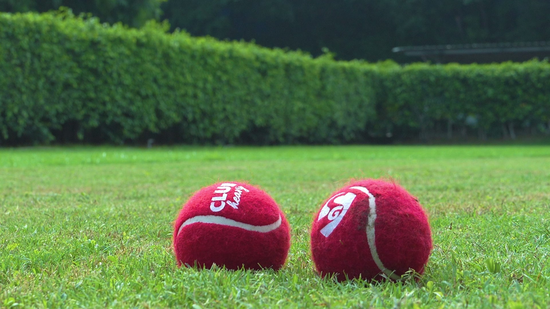 SG Club Heavy Cricket Balls (PACK OF 3) – TeamSG